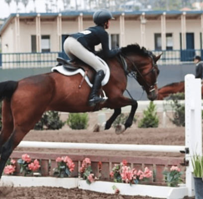 Ruocco Equestrian Training Photo Gallery