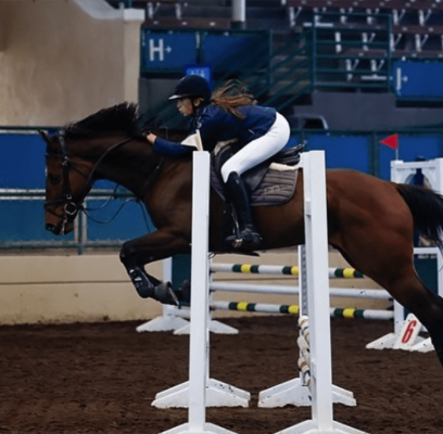 Ruocco Equestrian Training Photo Gallery
