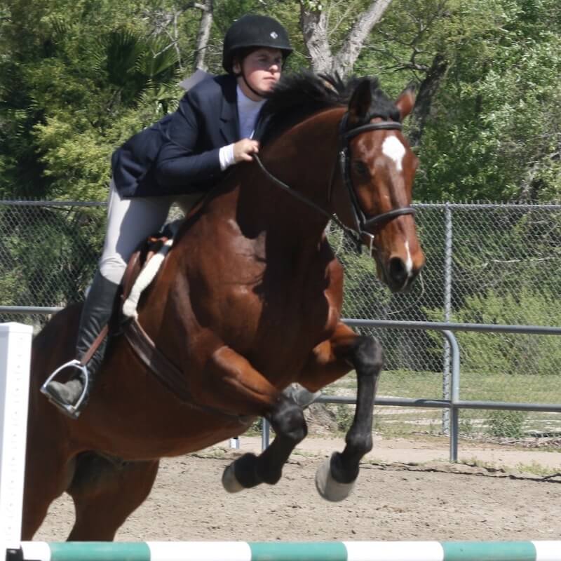 About Ruocco Equestrian Training